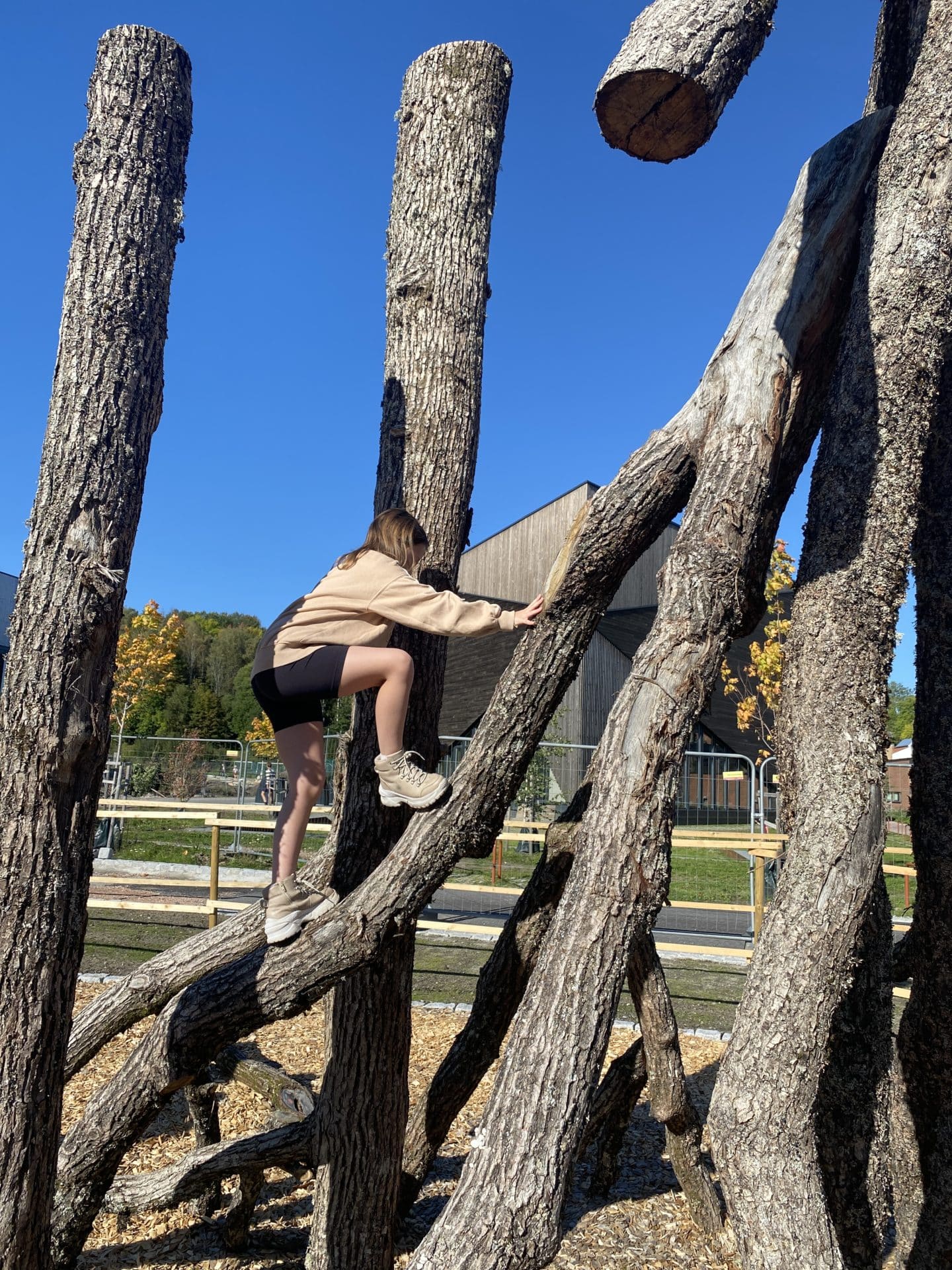 Det grønne mellomrommet på Risenga - Tverga